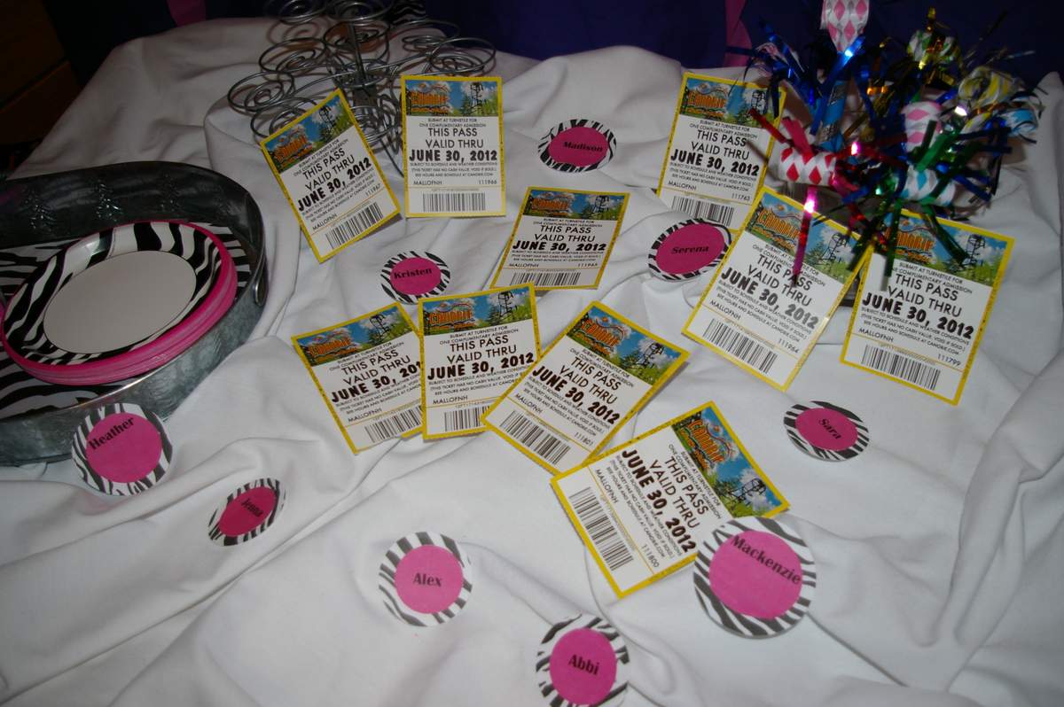 Pink/Zebra Theme Birthday Party Ideas | Photo 2 of 19 | Catch My Party