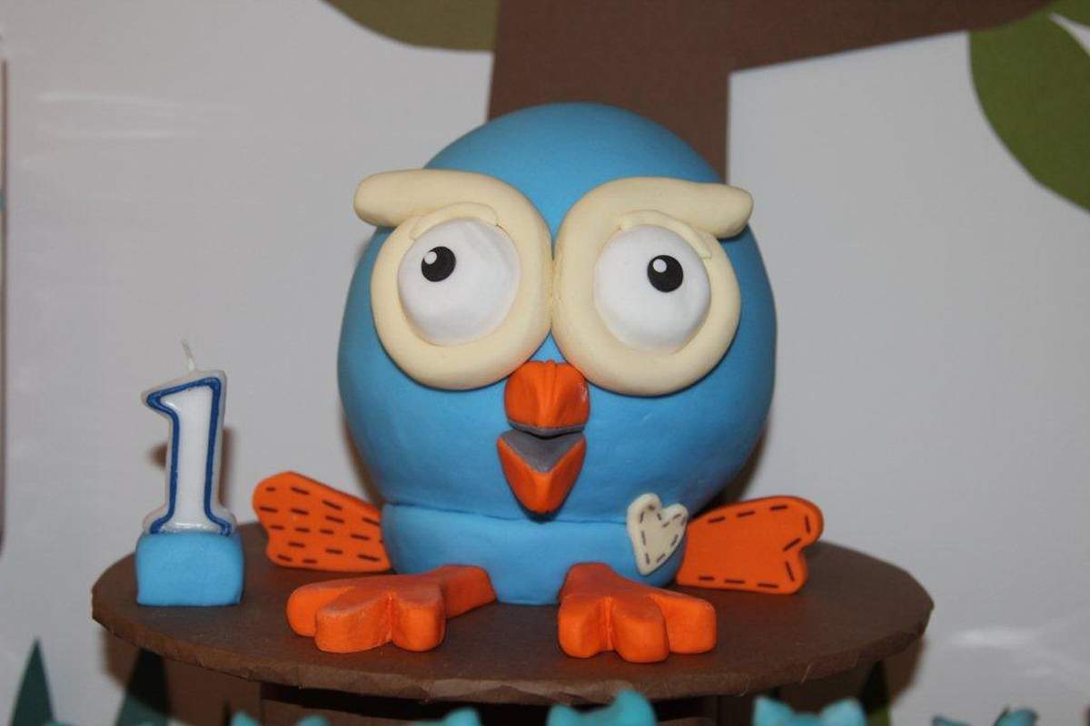 Hoot Birthday Party Ideas | Photo 1 of 8 | Catch My Party