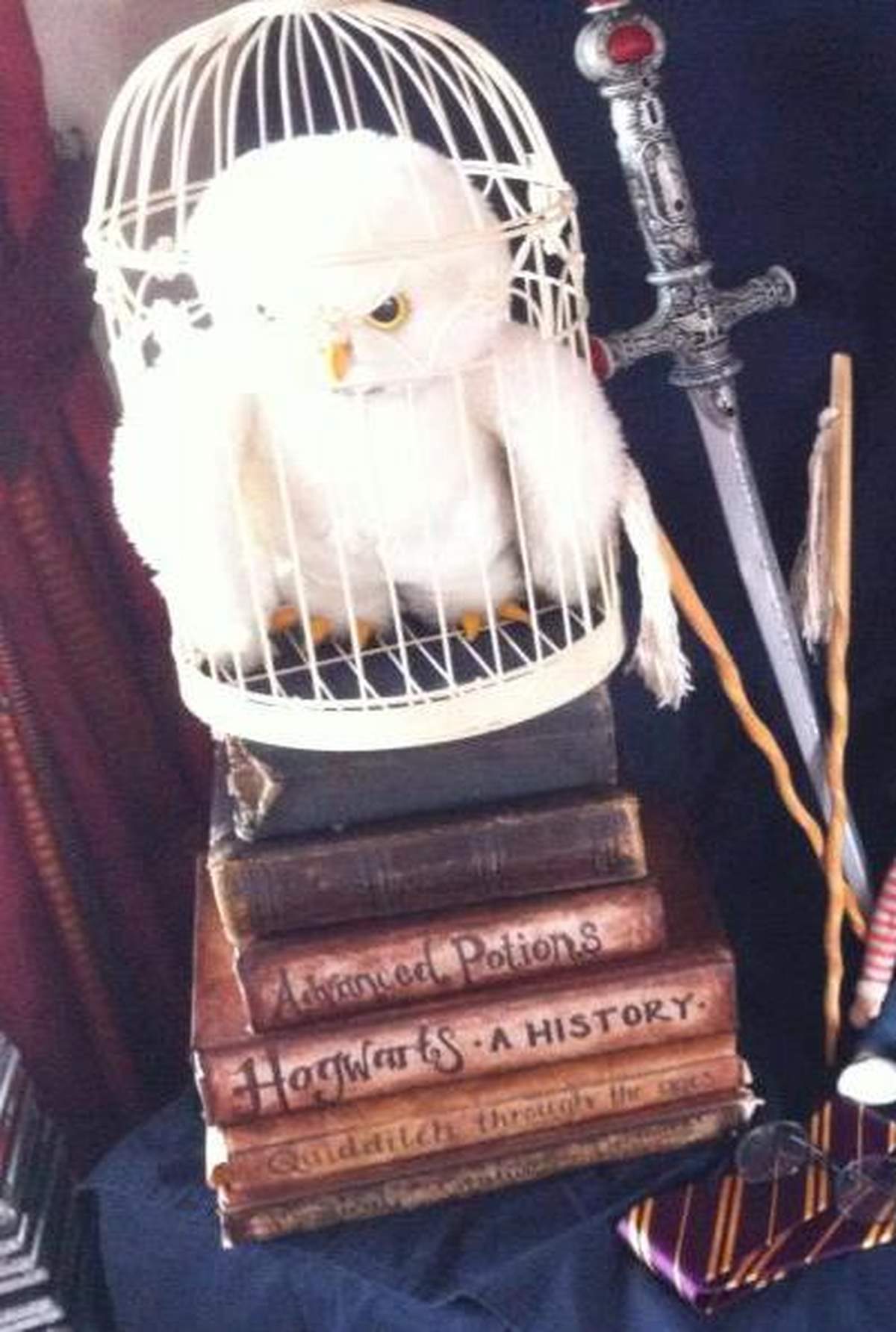 Fancy dress - come as someone famous! Birthday Party Ideas | Photo 39 ...