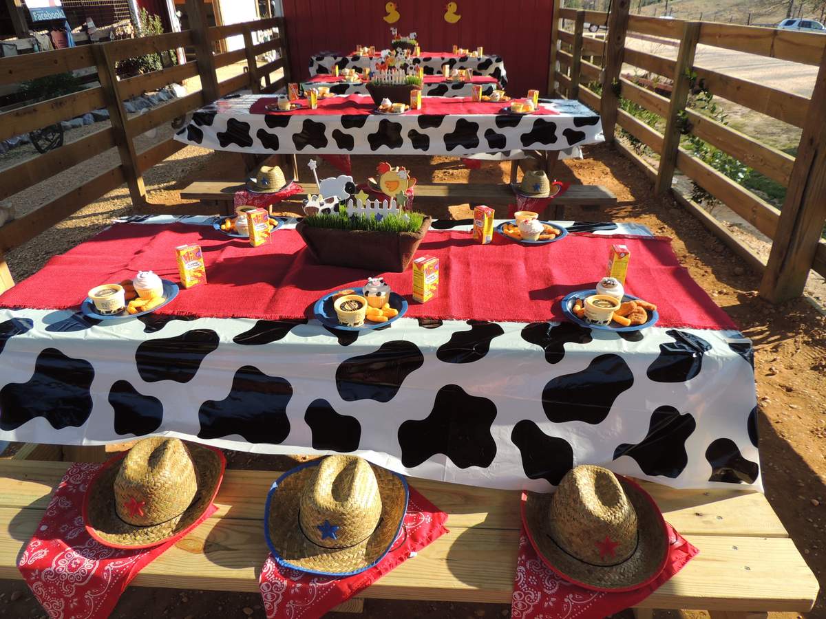 Farm/Barnyard Birthday Party Ideas | Photo 4 of 42 | Catch My Party