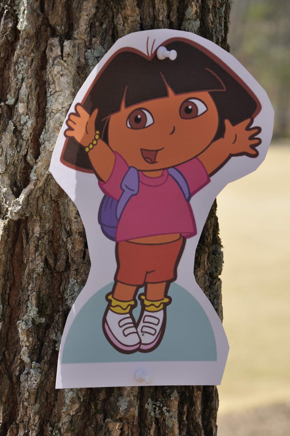 Dora the Explorer Birthday Party Ideas | Photo 6 of 88 | Catch My Party