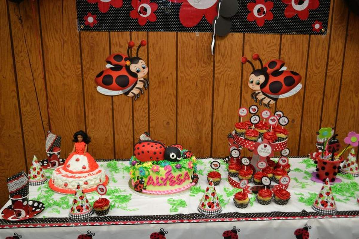 Ladybug Birthday Party Ideas | Photo 8 of 26 | Catch My Party