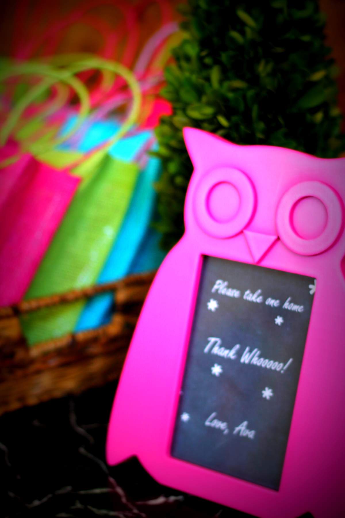 Owls Birthday Party Ideas | Photo 35 of 36 | Catch My Party