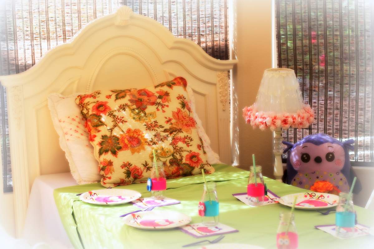 Owls Birthday Party Ideas | Photo 35 of 36 | Catch My Party