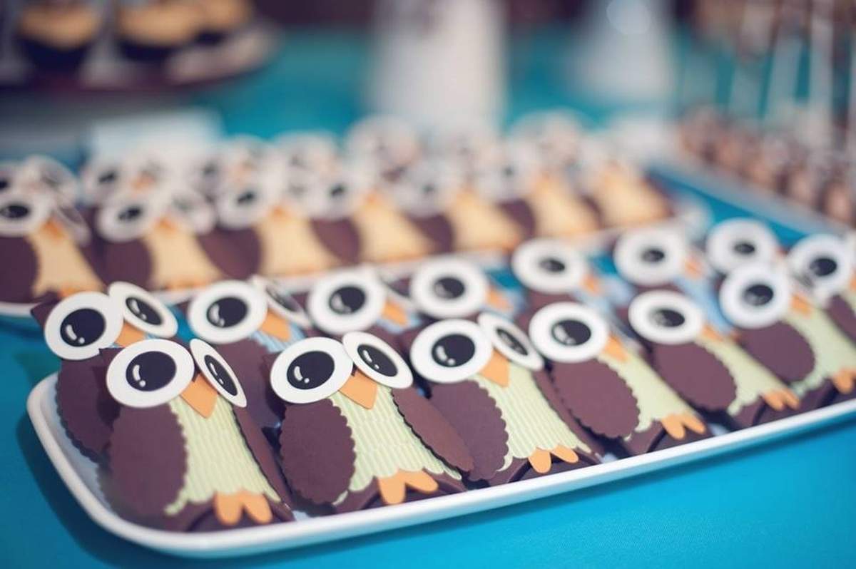 Owl Theme Birthday Party Ideas | Photo 1 of 8 | Catch My Party