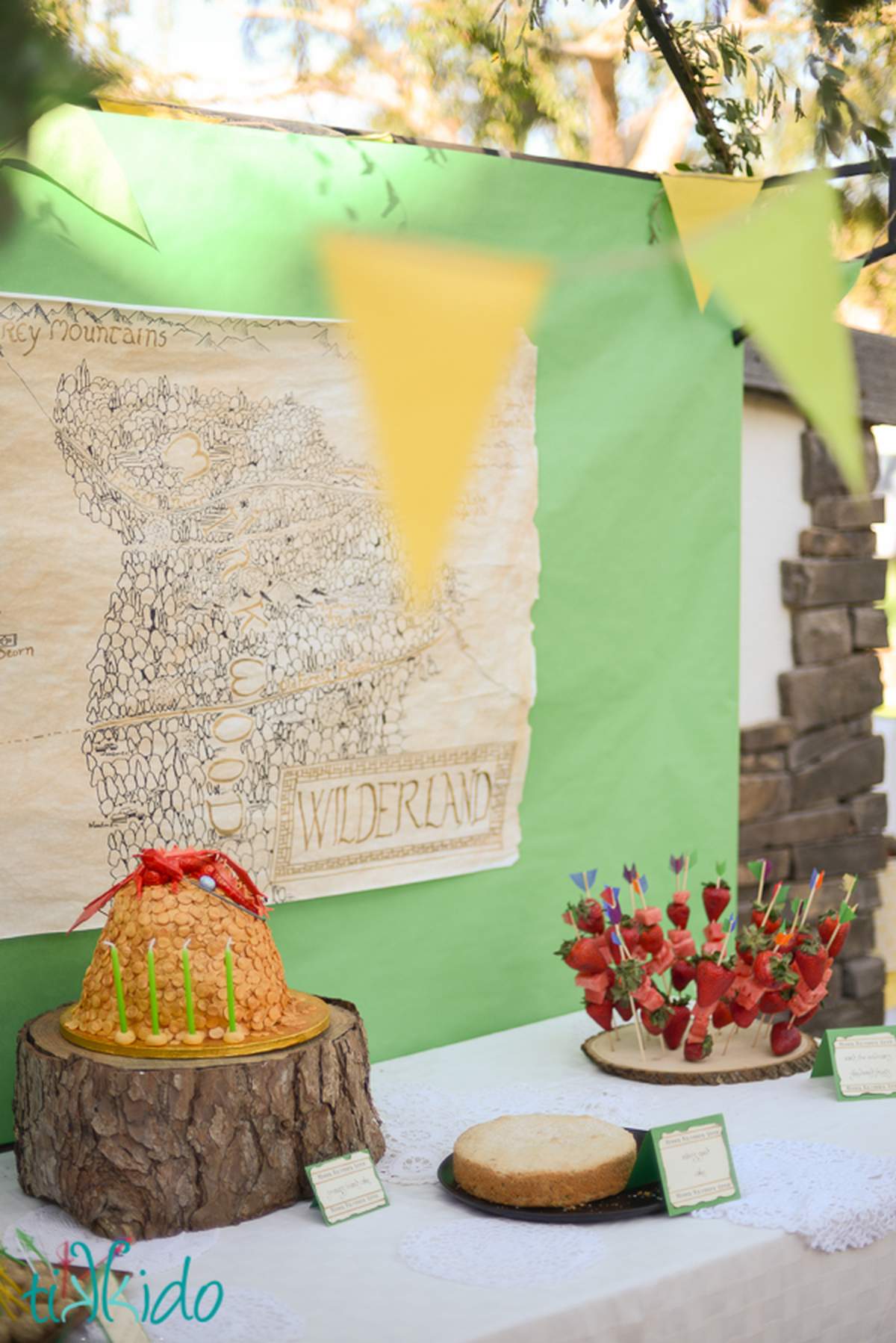 Hobbits, Lord of the Rings Birthday Party Ideas | Photo 6 of 58 | Catch ...
