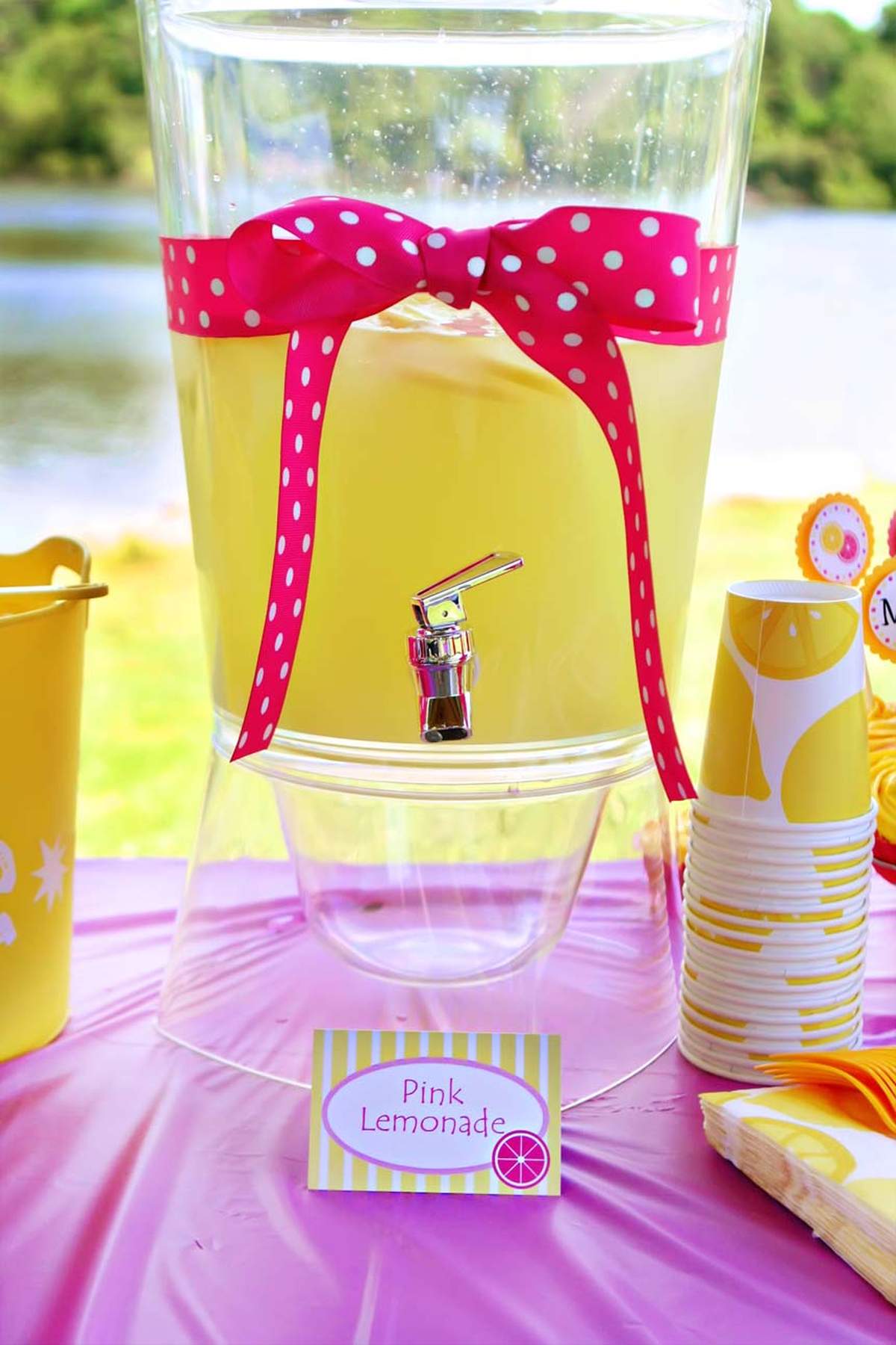 Pink Lemonade Birthday Party Ideas | Photo 2 of 22 | Catch My Party