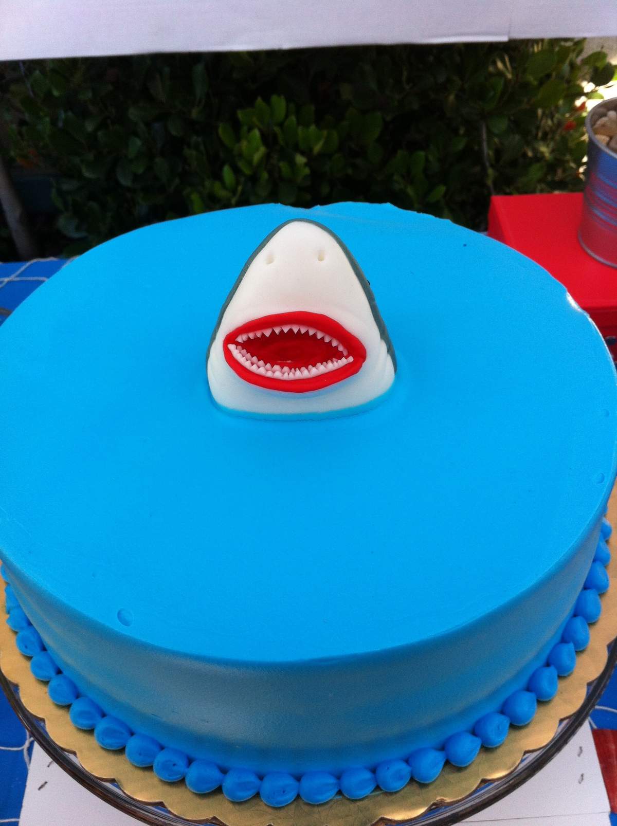 Jaws Birthday Party Ideas | Photo 29 of 41 | Catch My Party
