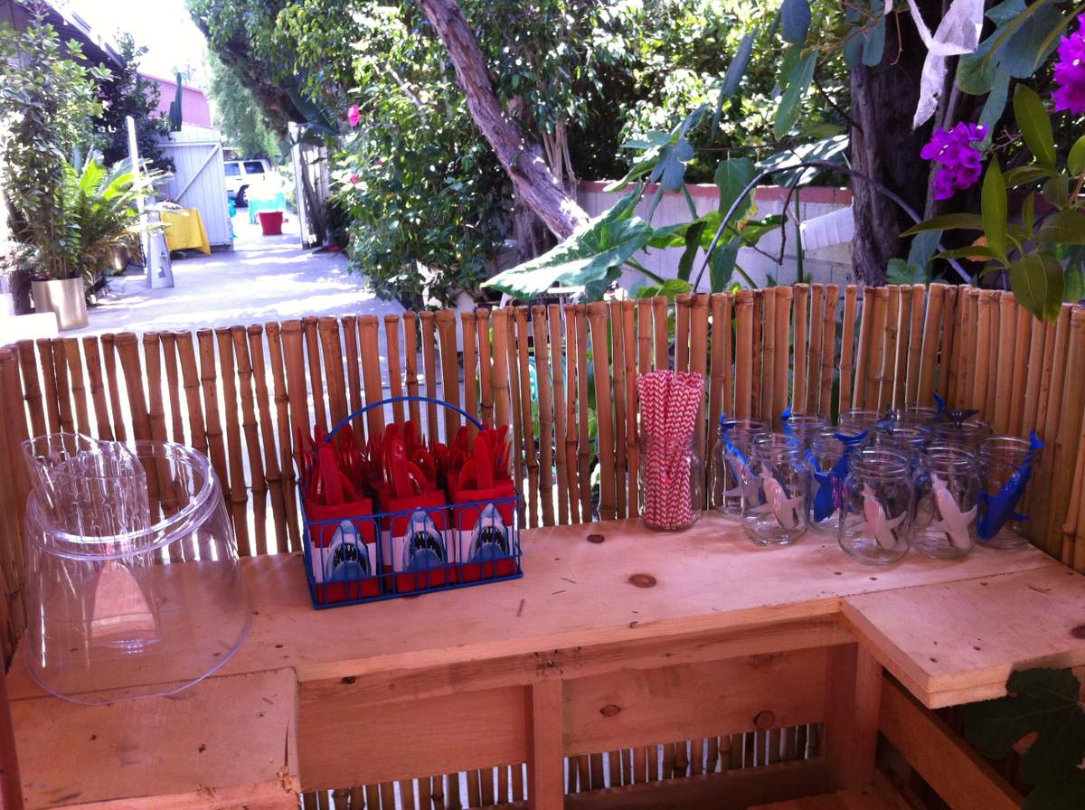 Jaws Birthday Party Ideas | Photo 16 of 41 | Catch My Party