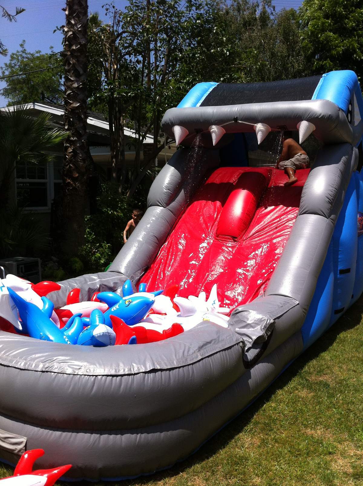 Jaws Birthday Party Ideas | Photo 1 of 41 | Catch My Party