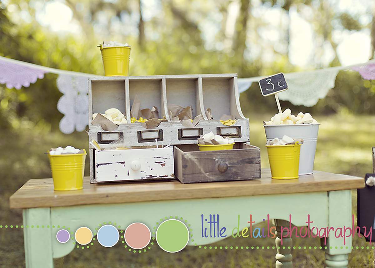 Vintage Lemonade Stand Vintage Lemonade Stand Inspiration Shoot Party ...