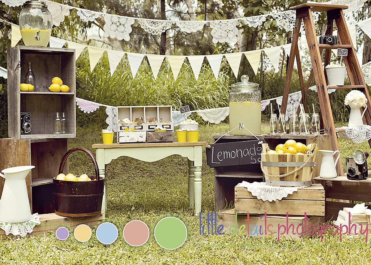 Vintage Lemonade Stand Vintage Lemonade Stand Inspiration Shoot Party ...
