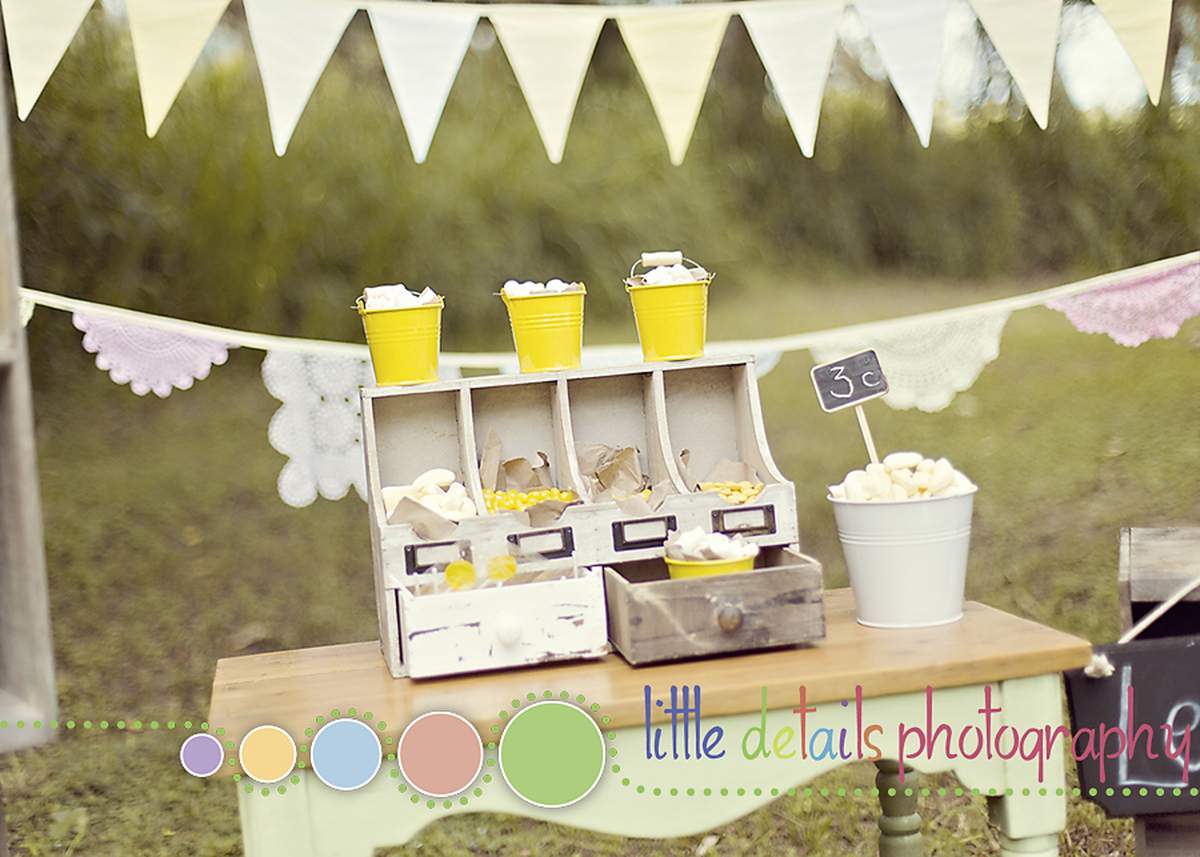 Vintage Lemonade Stand Vintage Lemonade Stand Inspiration Shoot Party ...