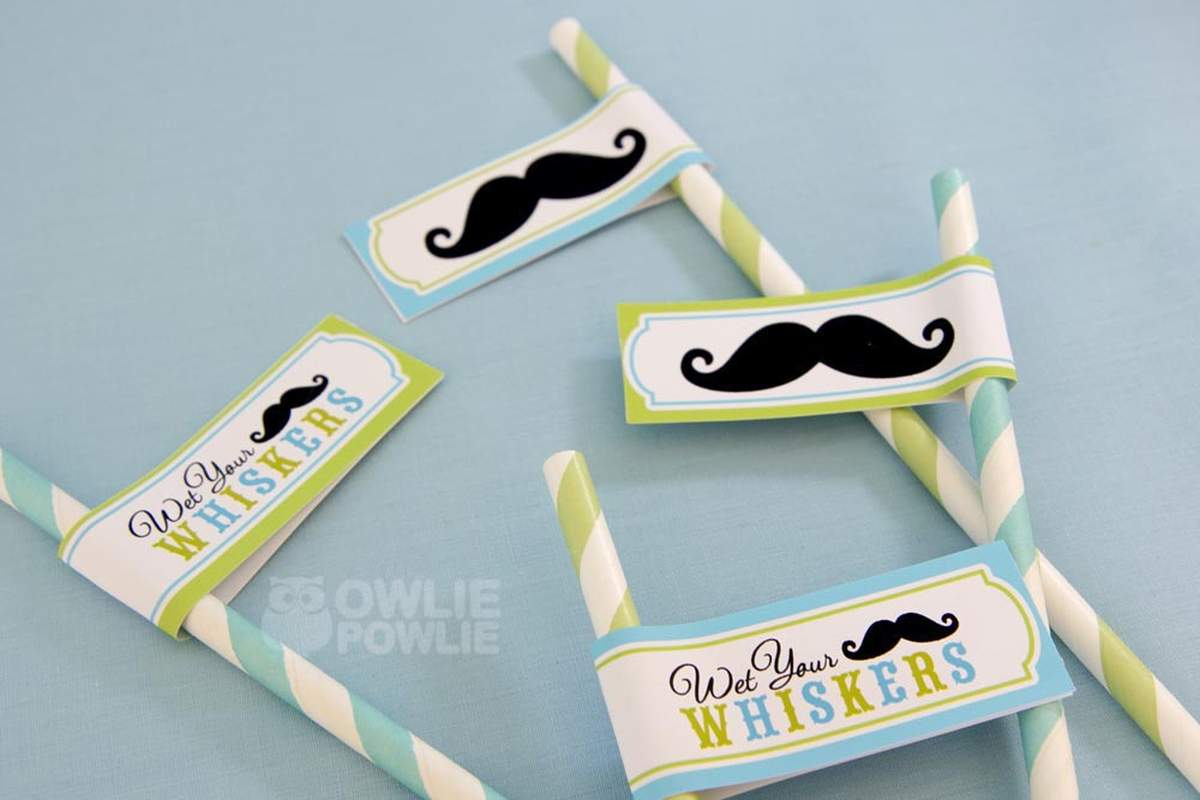 Little Man Mustache Bash Baby Shower Party Ideas | Photo 1 of 21 ...