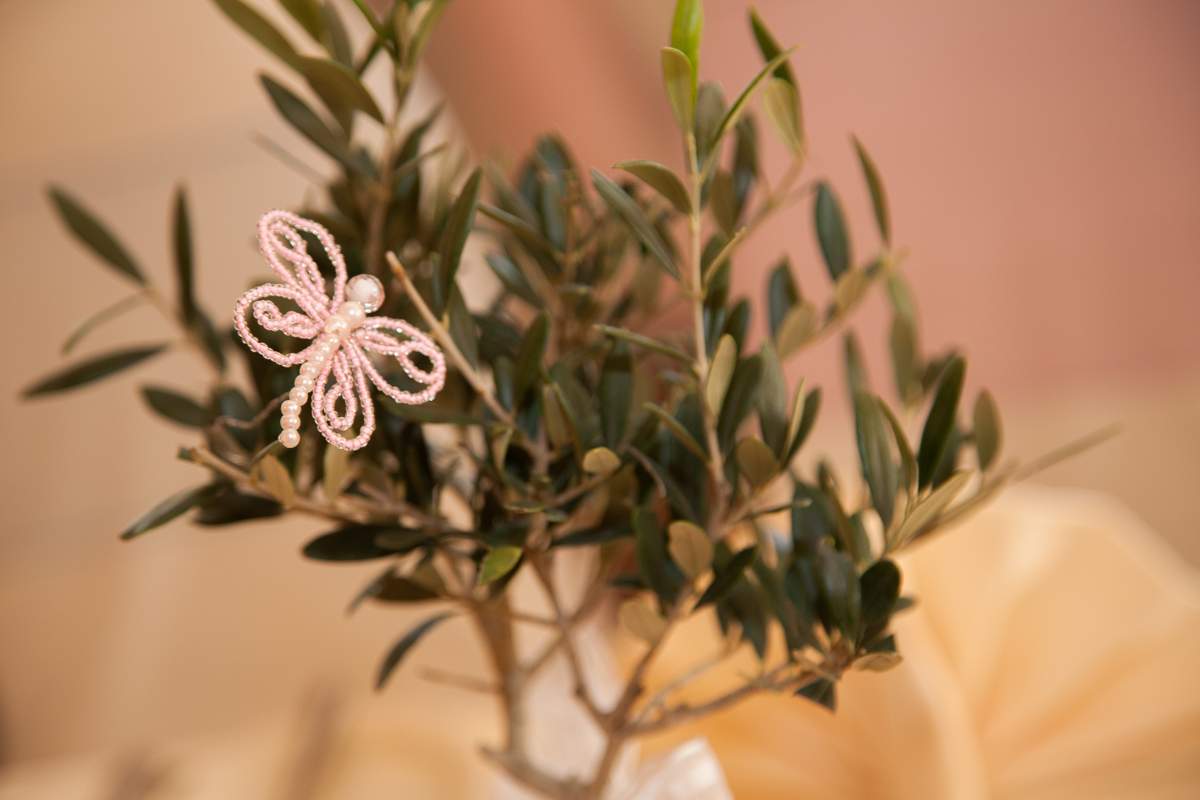 Olive trees and butterflies Baptism Party Ideas | Photo 11 of 38 ...