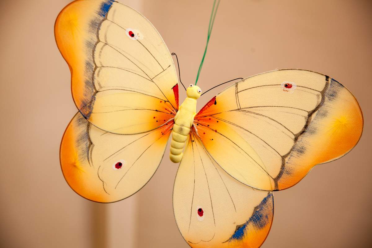 Olive trees and butterflies Baptism Party Ideas | Photo 11 of 38 ...