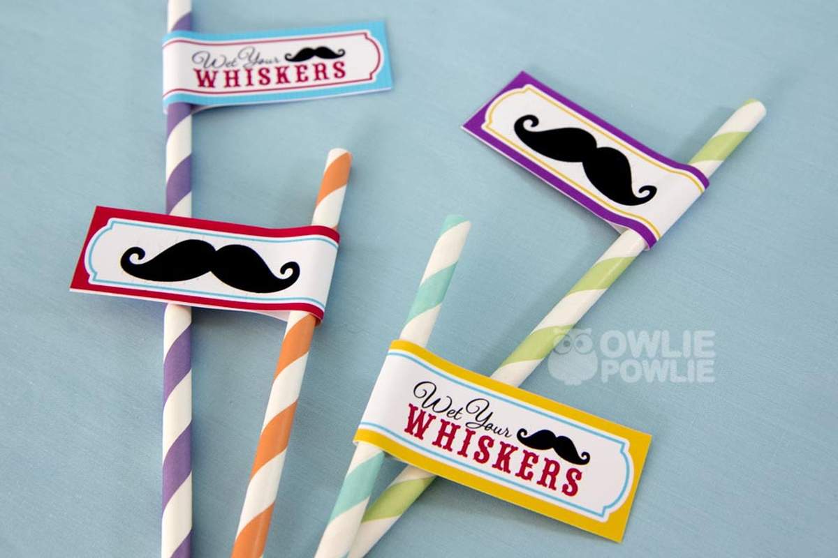 Little Man Mustache Bash Birthday Party Ideas | Photo 2 of 25 | Catch ...