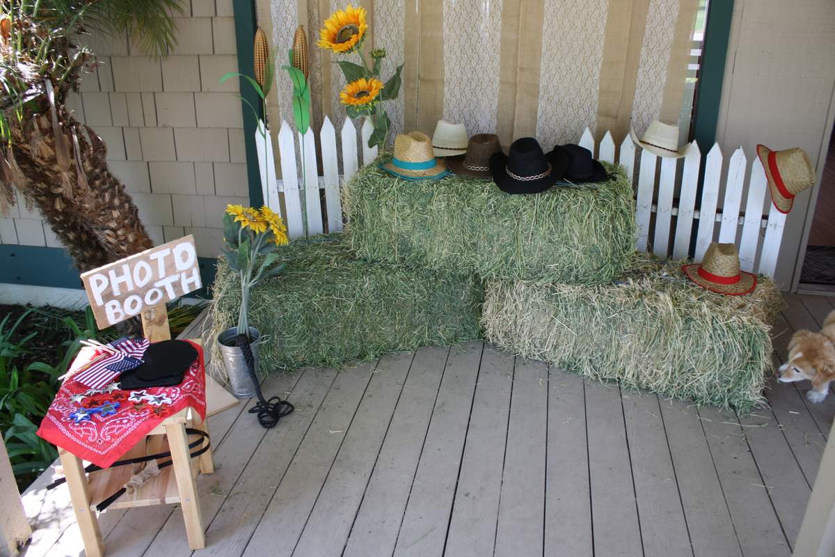 Country Bash cowgirl style Birthday Party Ideas | Photo 6 of 21 | Catch ...