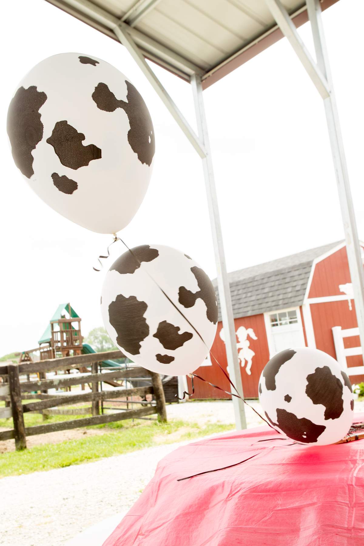 Farm party Birthday Party Ideas | Photo 3 of 25 | Catch My Party