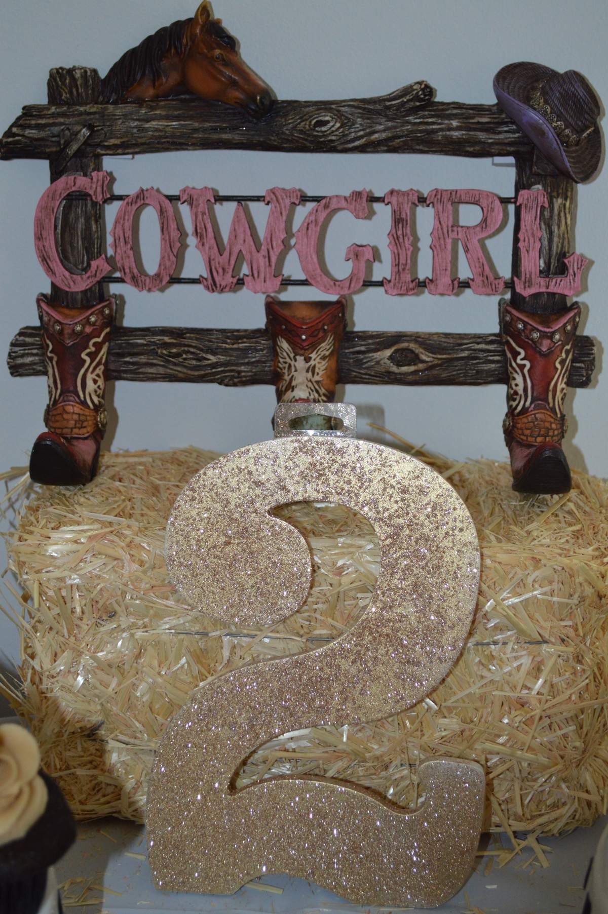 Western Cowgirl Birthday Party Ideas | Photo 15 of 18 | Catch My Party