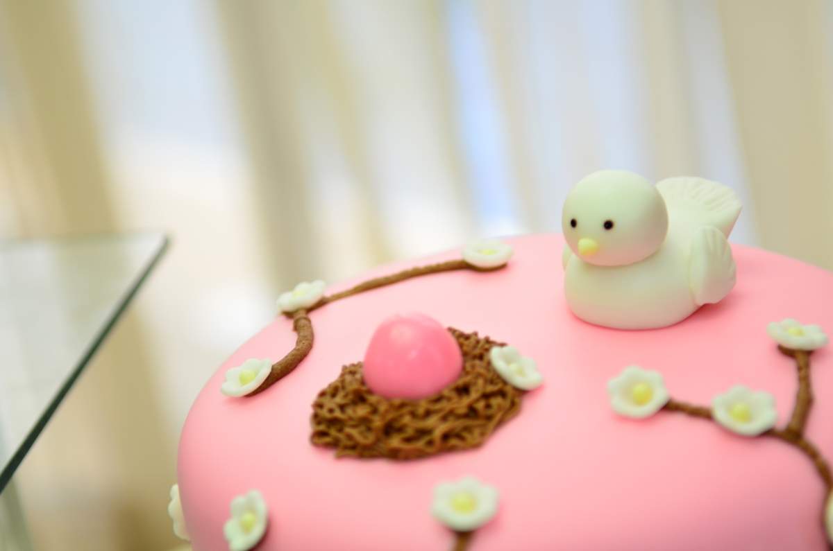 Birds Baby Shower Party Ideas | Photo 1 of 46 | Catch My Party