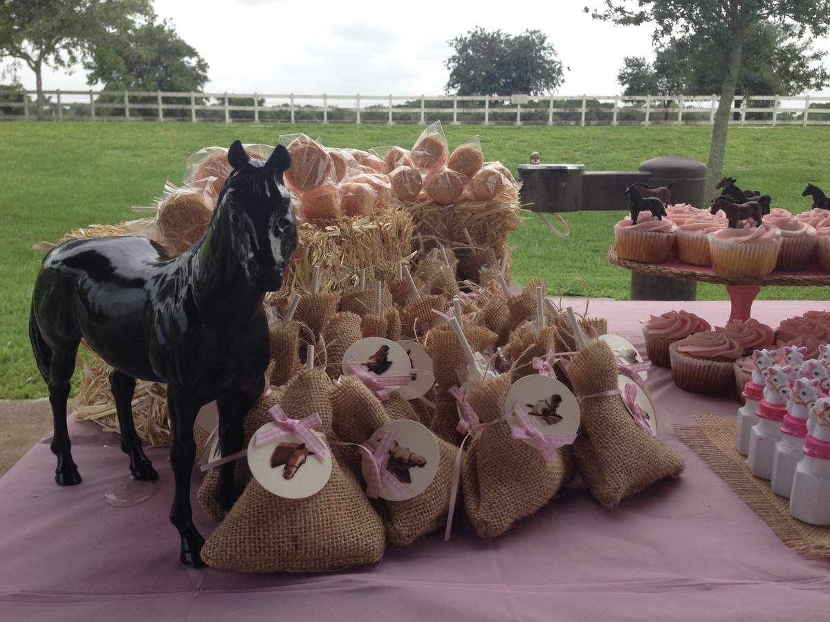 Shabby Chic pony party Birthday Party Ideas | Photo 8 of 27 | Catch My ...