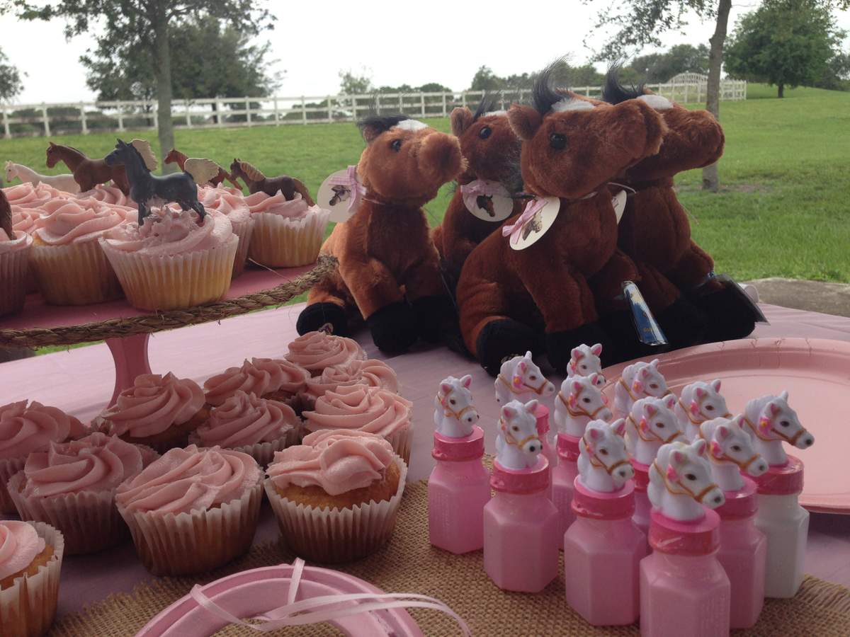 Shabby Chic pony party Birthday Party Ideas | Photo 8 of 27 | Catch My ...