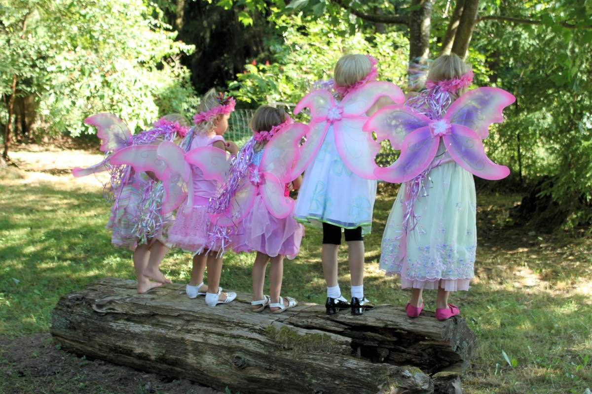 Fairy Birthday Party Ideas | Photo 1 of 79 | Catch My Party