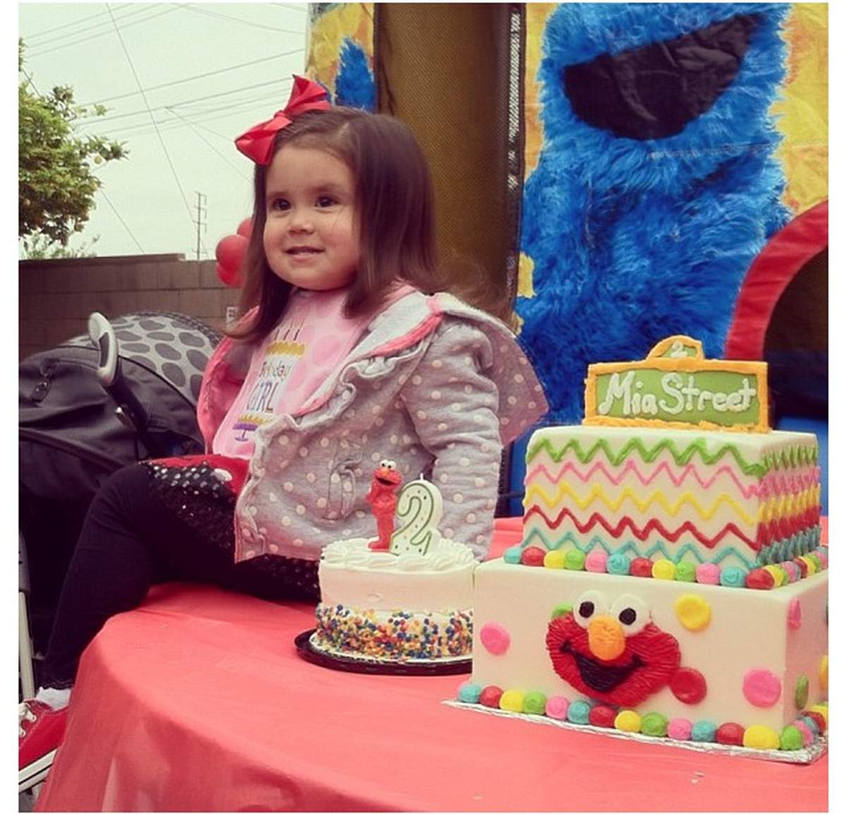 Sesame Street Birthday Party Ideas | Photo 7 of 10 | Catch My Party