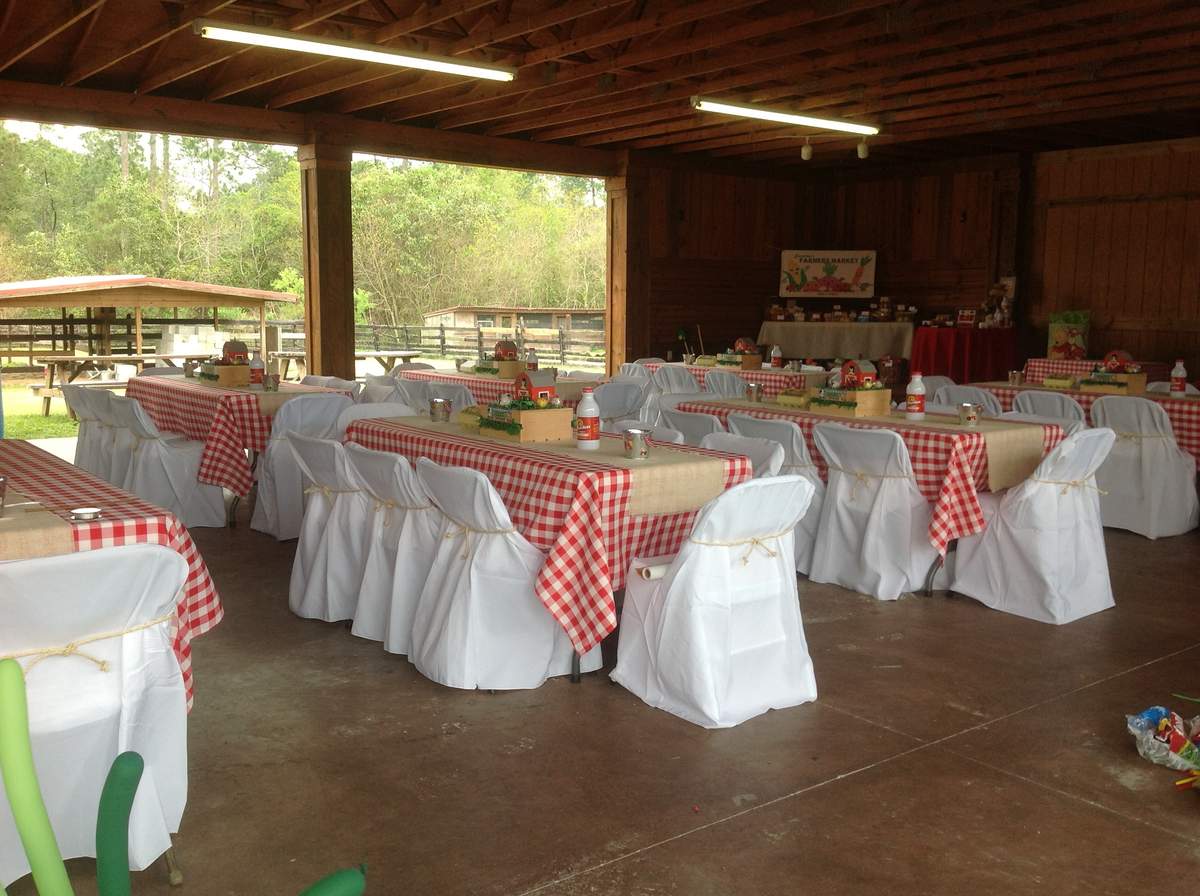 Farm/Barnyard Birthday Party Ideas | Photo 10 of 54 | Catch My Party
