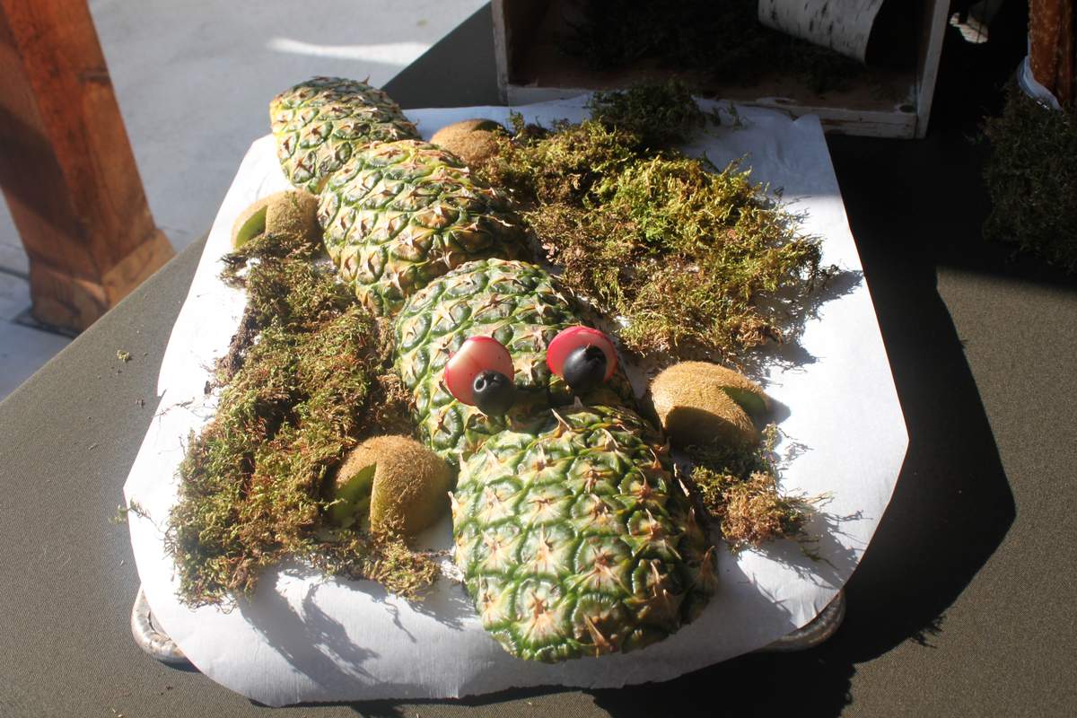 Alligator/Swamp Birthday Party Ideas | Photo 14 of 38 | Catch My Party