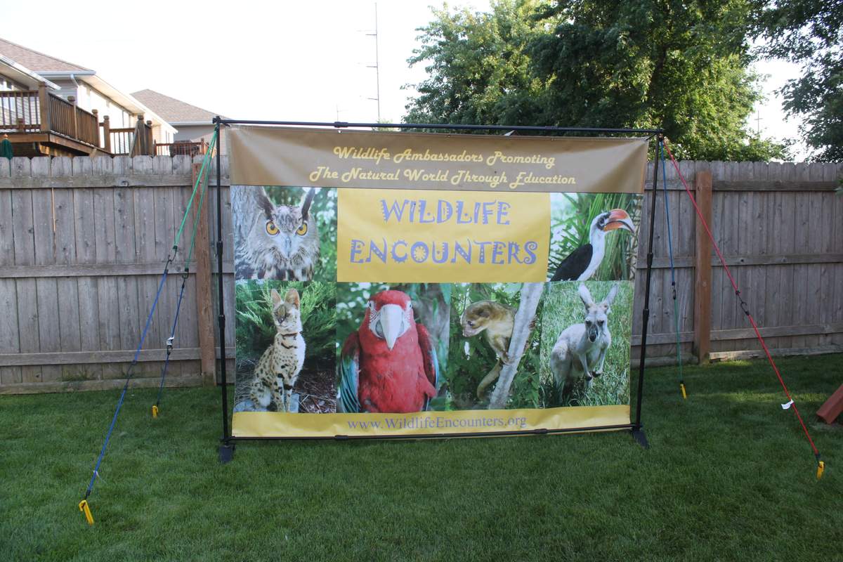 Alligator/Swamp Birthday Party Ideas | Photo 14 of 38 | Catch My Party