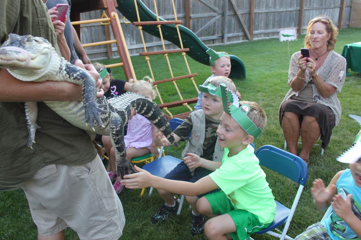 Alligator/Swamp Birthday Party Ideas | Photo 14 of 38 | Catch My Party