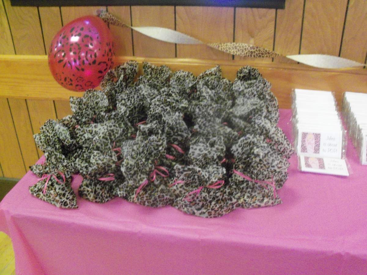 Leopard Print/Hot Pink Baby Shower Party Ideas | Photo 7 of 34 | Catch ...