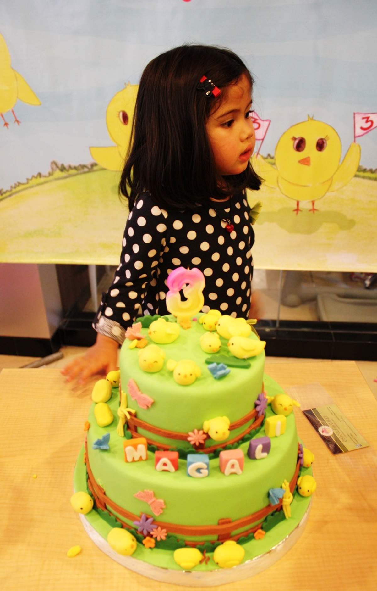 CHICKS Birthday Party Ideas | Photo 13 of 29 | Catch My Party