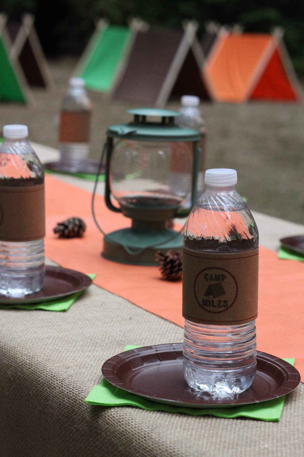 Camping Birthday Party Ideas | Photo 2 of 8 | Catch My Party