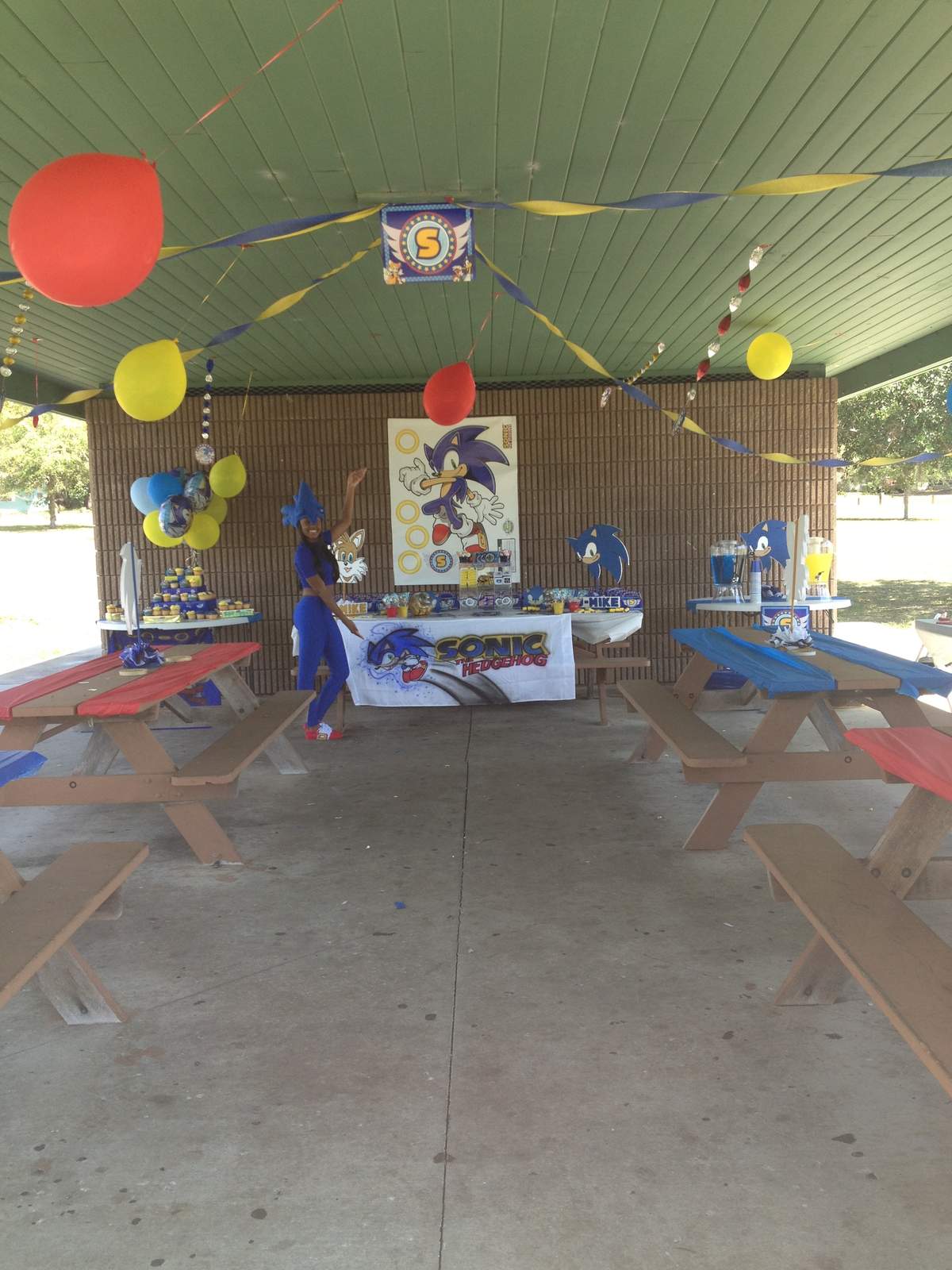 Sonic the Hedgehog Birthday Party Ideas | Photo 1 of 20 | Catch My Party