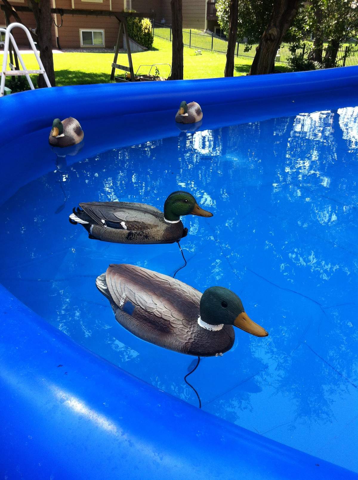 Duck Dynasty Birthday Party Ideas | Photo 28 of 47 | Catch My Party