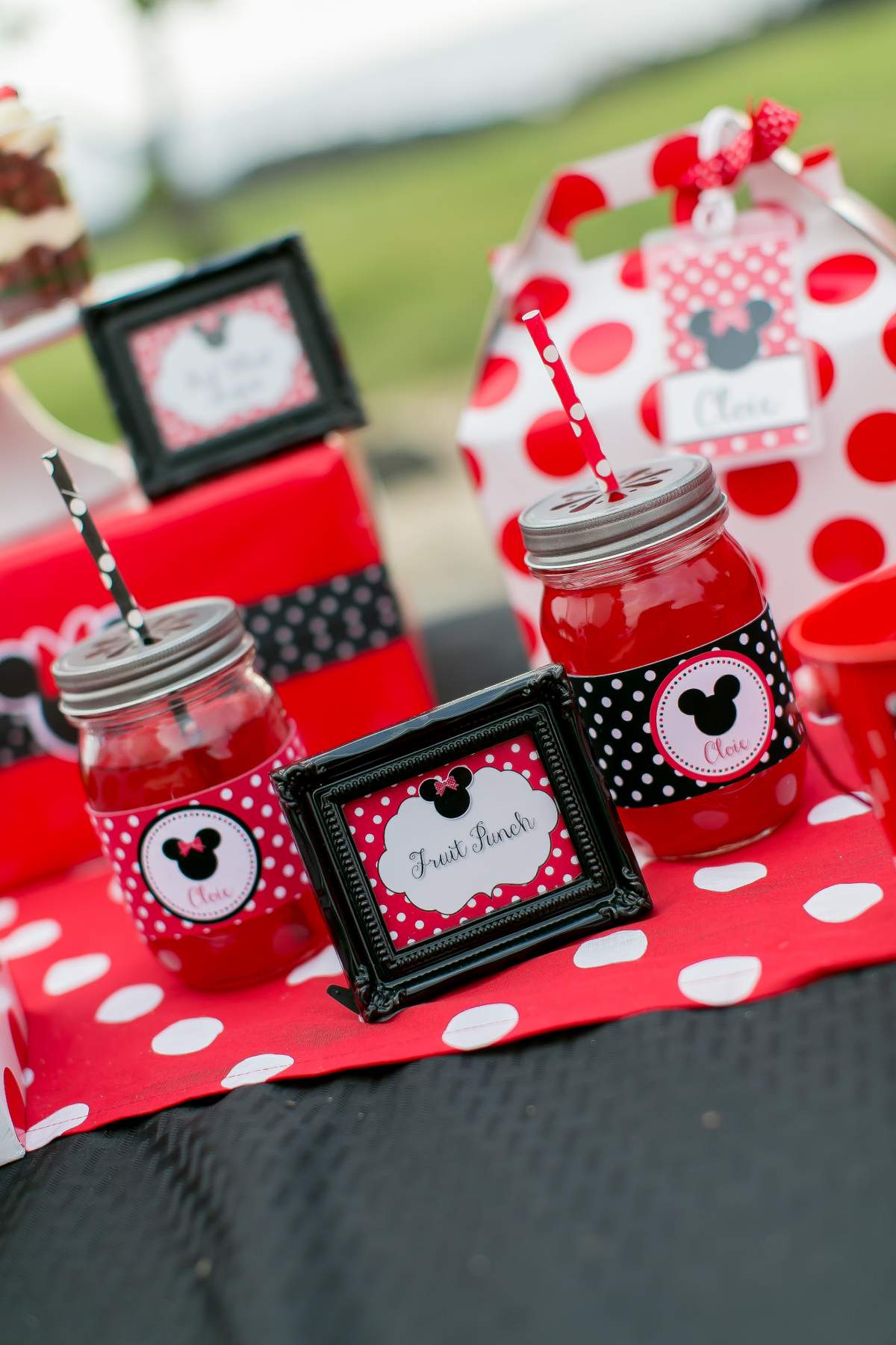 Minnie Mouse Polka dots Birthday Party Ideas | Photo 2 of 21 | Catch My Party