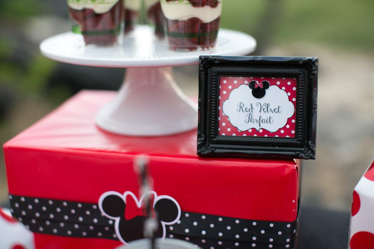 Minnie Mouse Polka dots Birthday Party Ideas | Photo 2 of 21 | Catch My Party