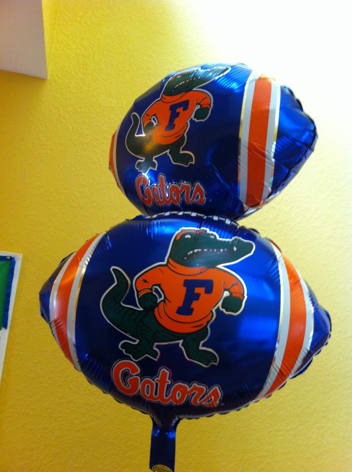 Football/Gators Birthday Party Ideas | Photo 1 of 45 | Catch My Party