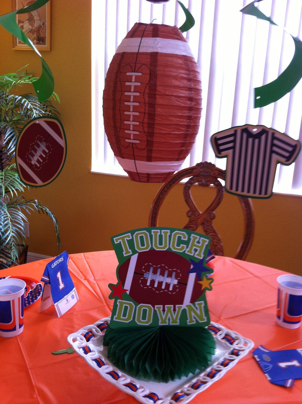 Football/Gators Birthday Party Ideas | Photo 1 of 45 | Catch My Party