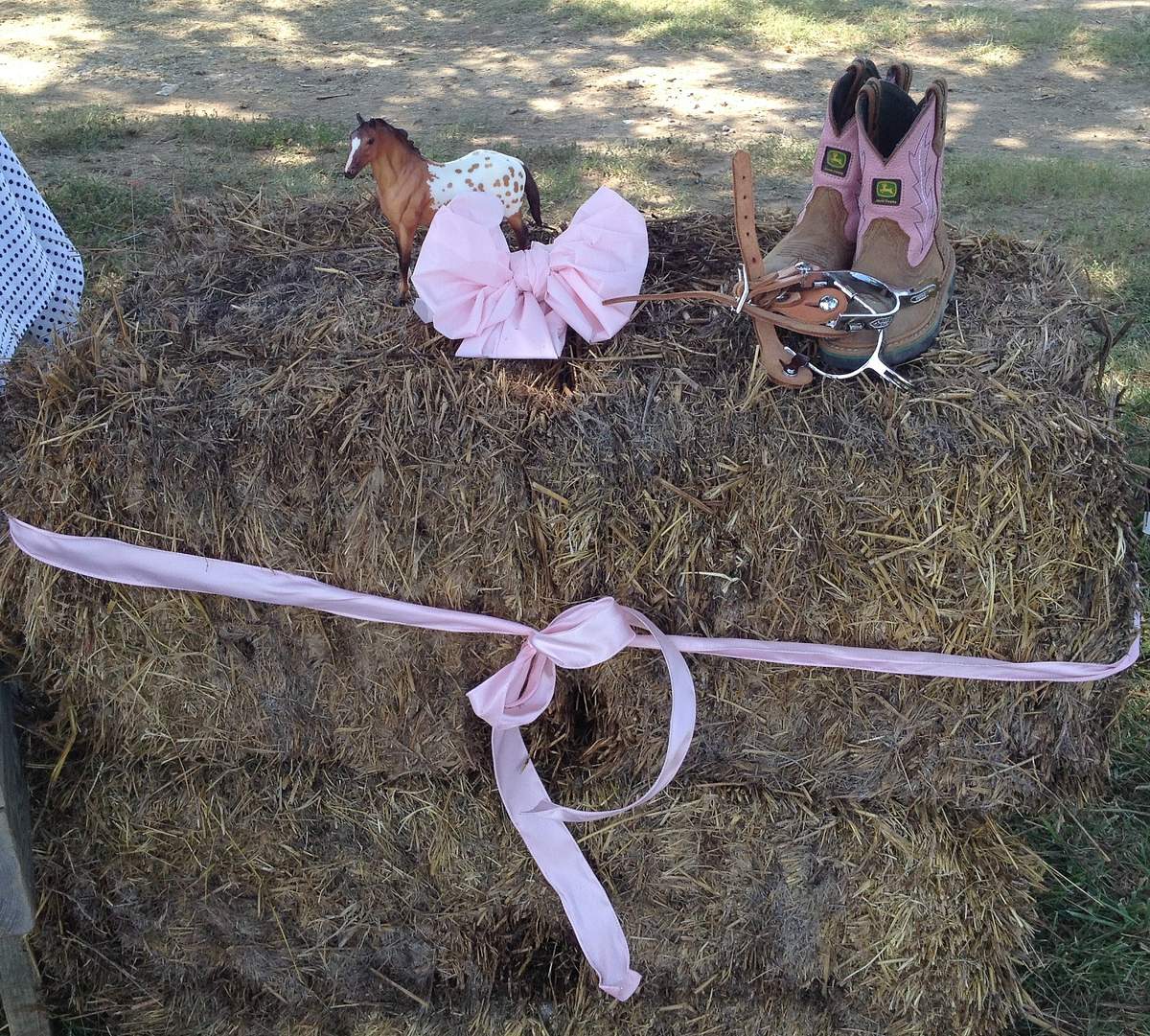 Glitzy Cowgirl Birthday Party Ideas | Photo 2 of 9 | Catch My Party
