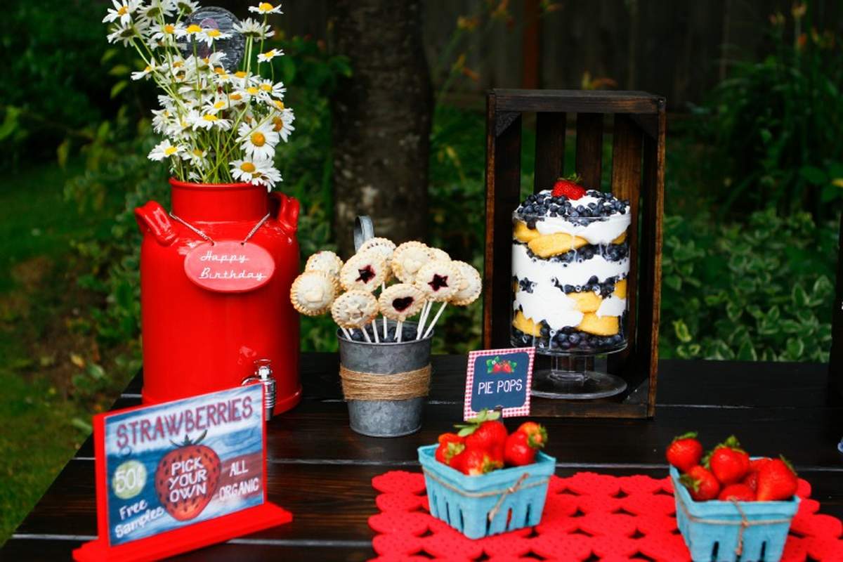 Berry Bash Birthday Party Ideas | Photo 47 of 58 | Catch My Party
