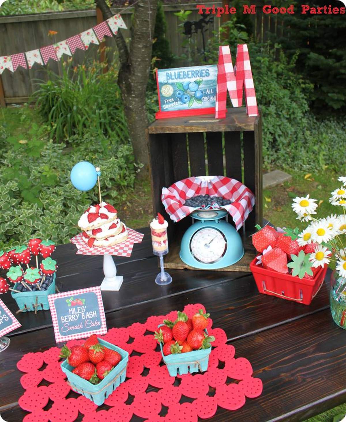 Berry Bash Birthday Party Ideas | Photo 47 of 58 | Catch My Party