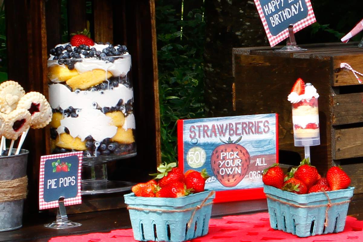 Berry Bash Birthday Party Ideas | Photo 11 of 58 | Catch My Party