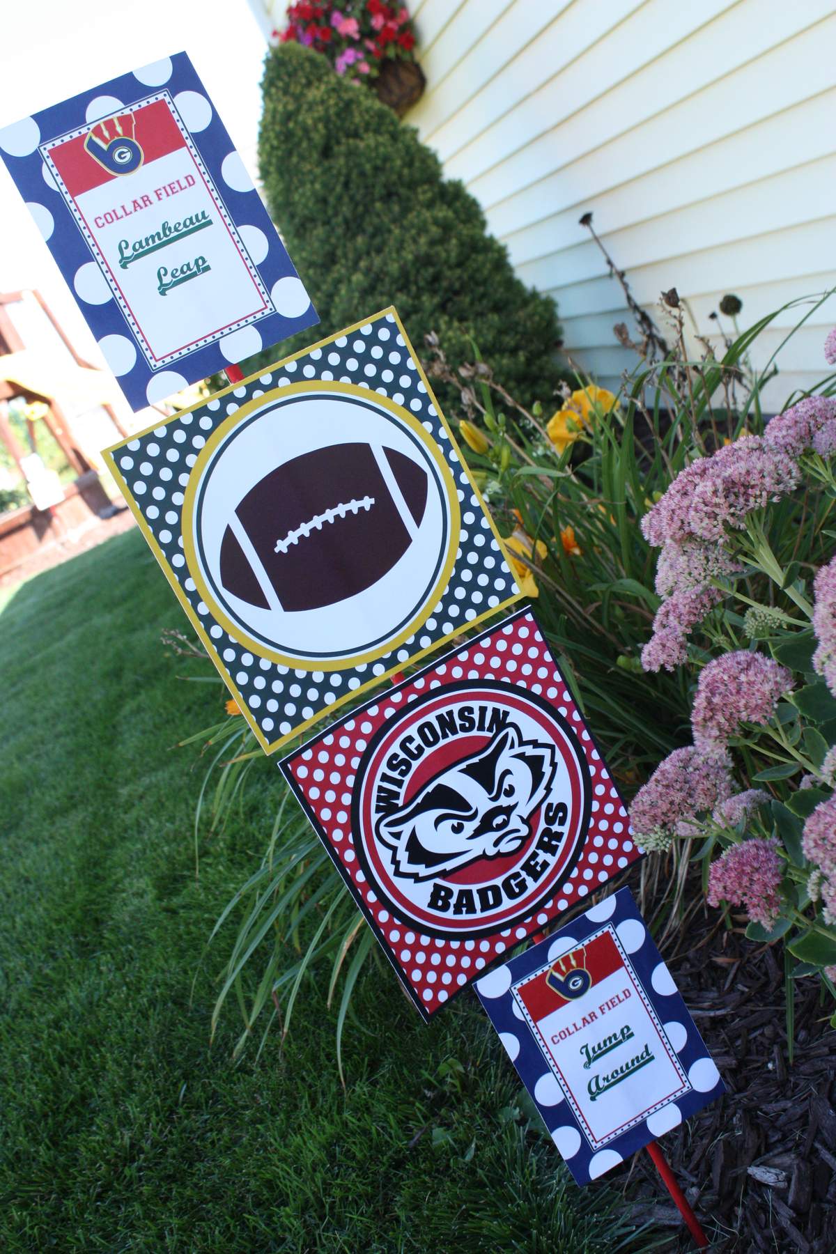 All Wisconsin - Packers, Brewers and Badgers Birthday Party Ideas ...