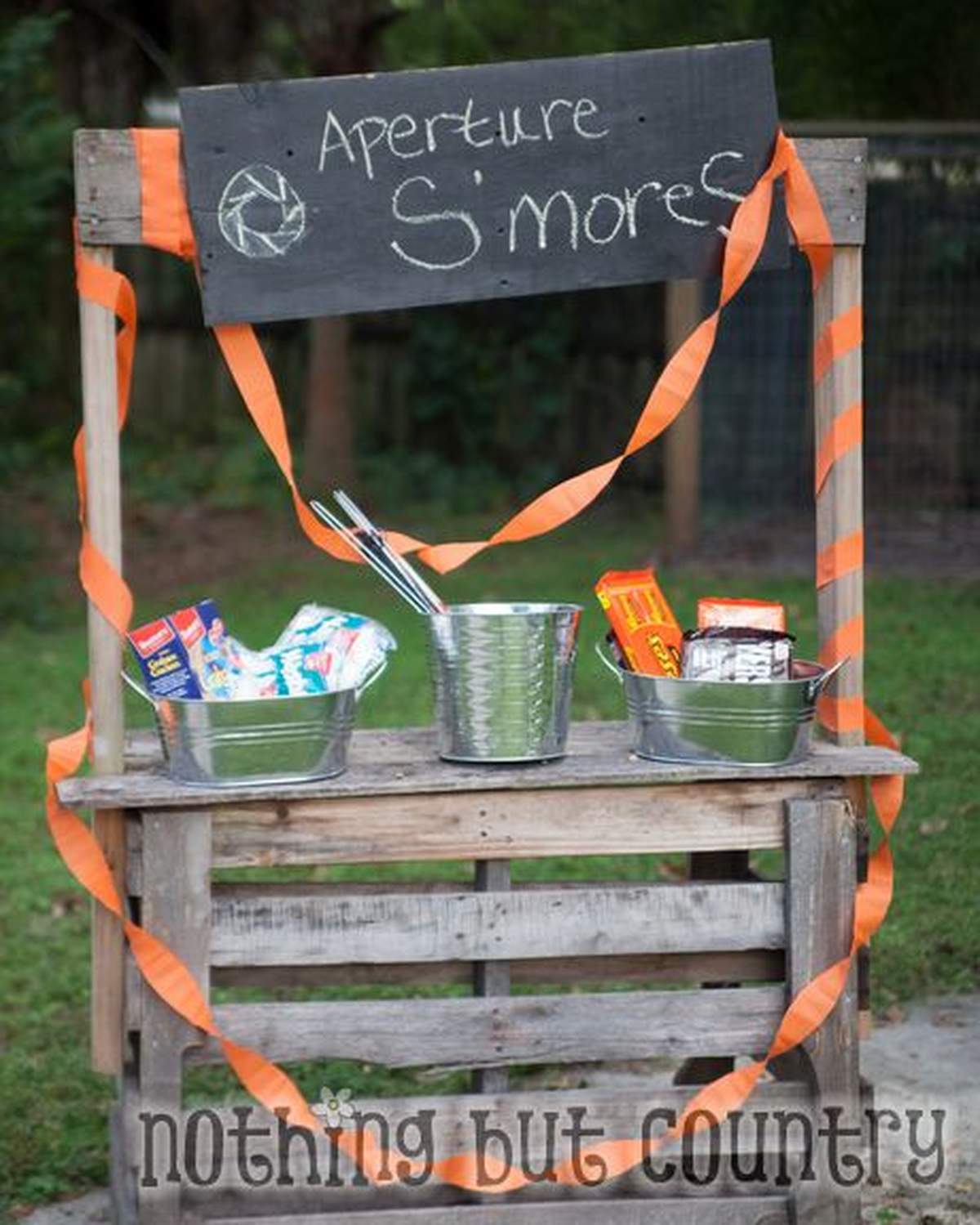 Portal 2 Game Birthday Party Ideas | Photo 1 of 41 | Catch My Party