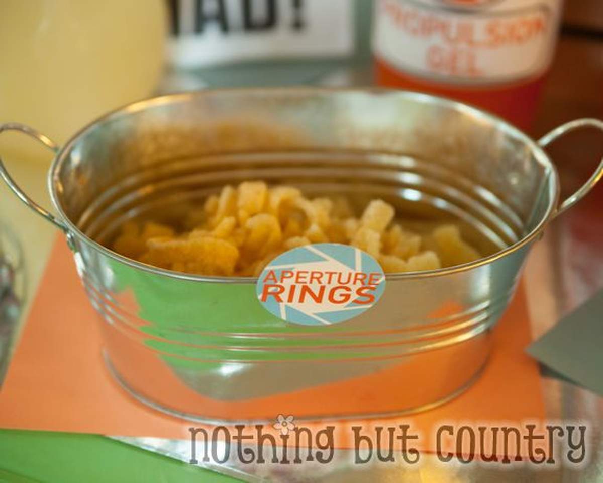 Portal 2 Game Birthday Party Ideas | Photo 13 of 41 | Catch My Party