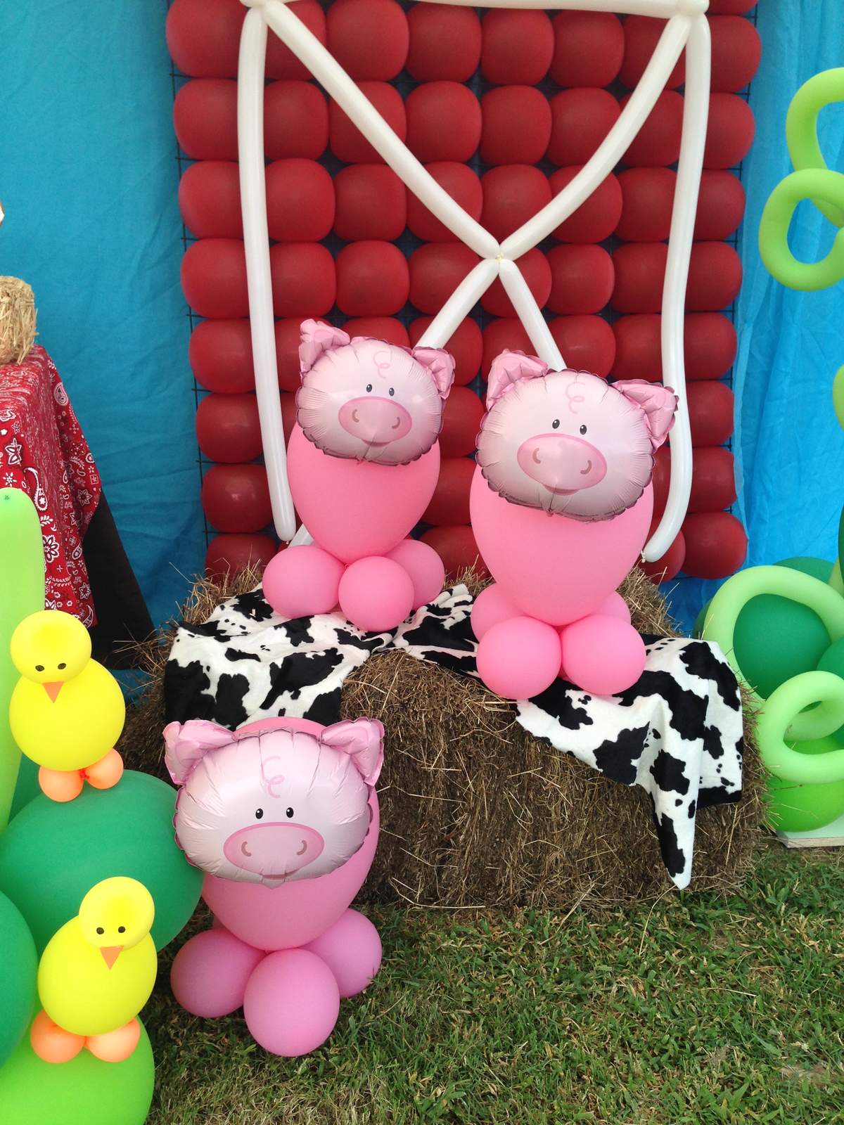 Farm/Barnyard Birthday Party Ideas | Photo 25 of 33 | Catch My Party